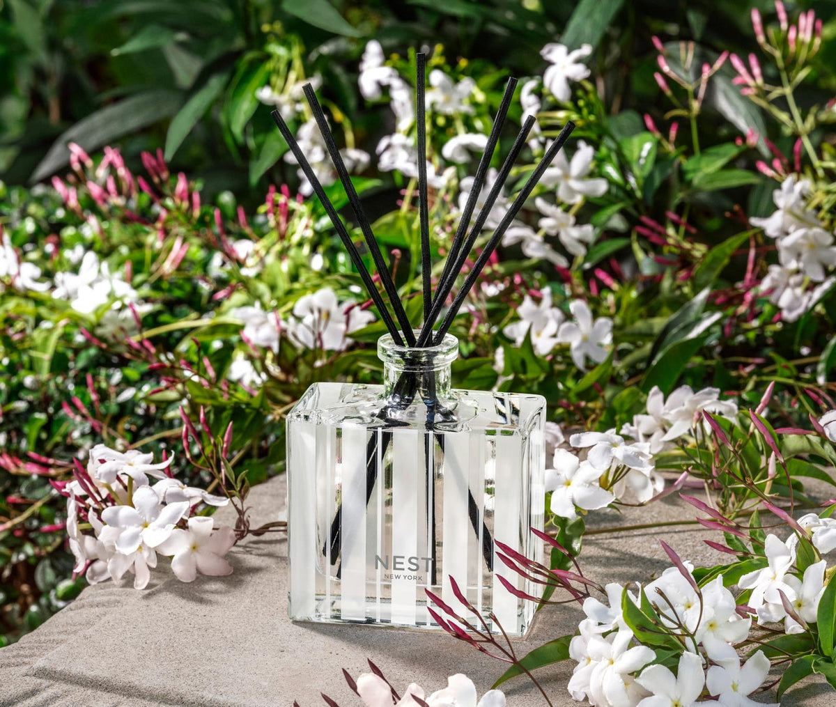 Nest New York Indian Jasmine Reed Diffuser – The Picket Fence