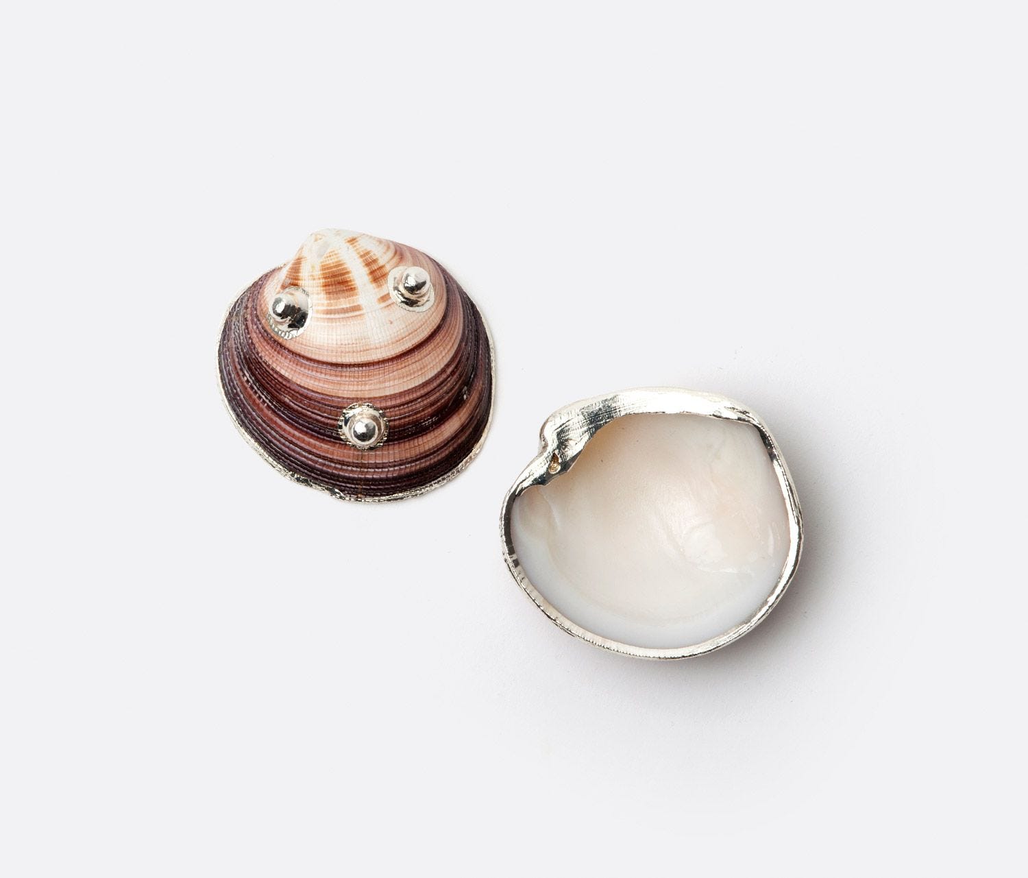 Blue Pheasant Callista Shell – The Picket Fence Store